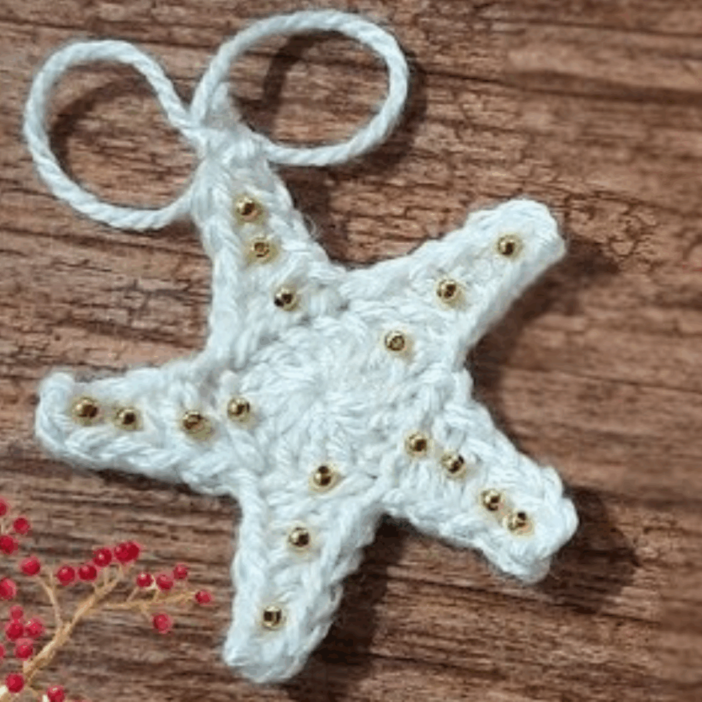 Free & Simple Crochet Christmas Star Pattern for Festive Accents - All ...