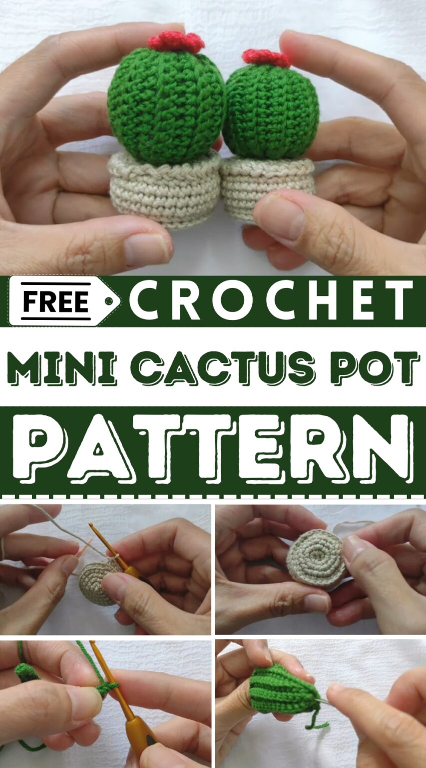 Easy Crochet Mini Cactus Pot Pattern That Impress Instantly - All Thing ...