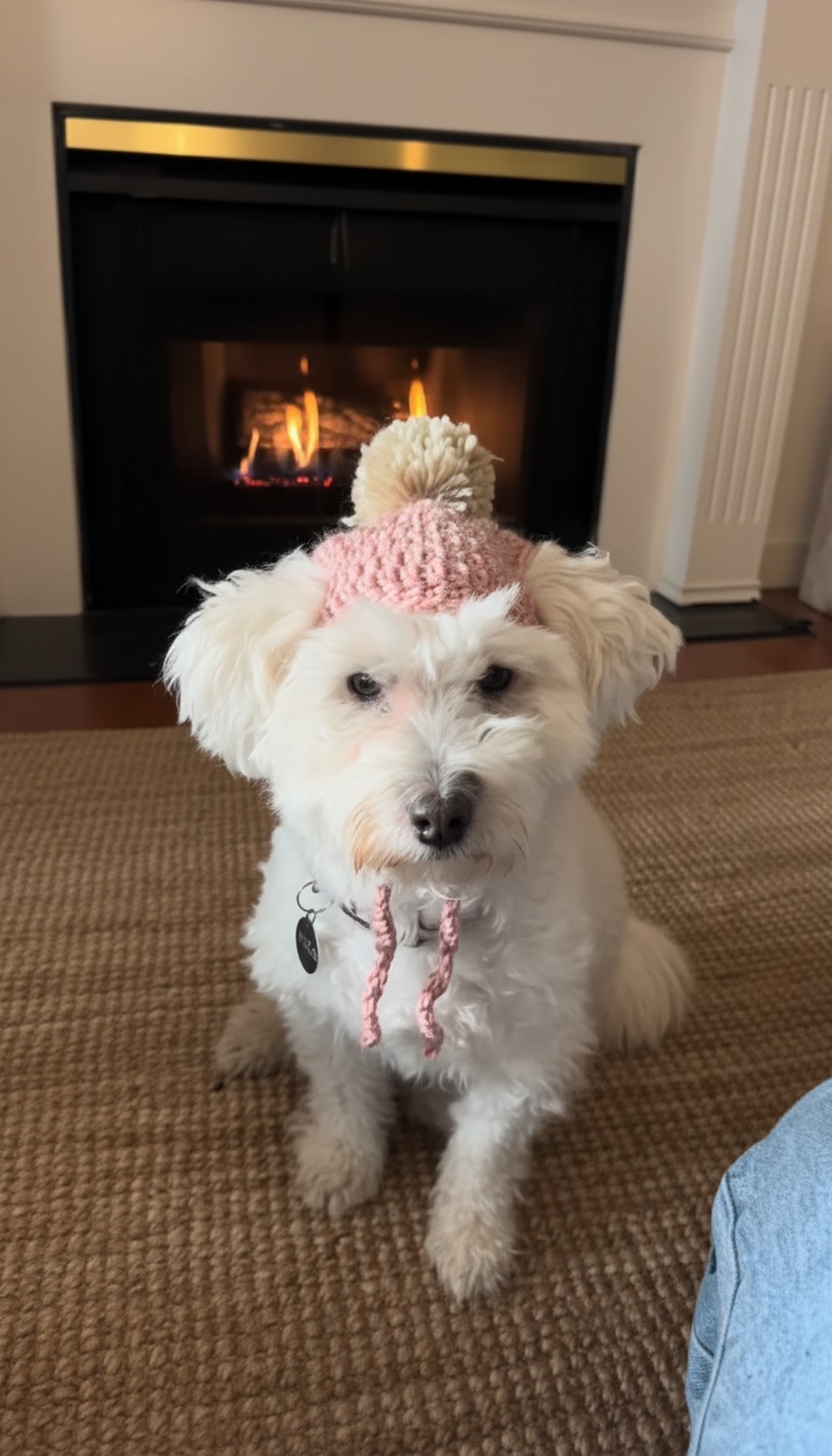 Classic Crochet Dog Hat Pattern for Effortless Doggie Couture - All ...